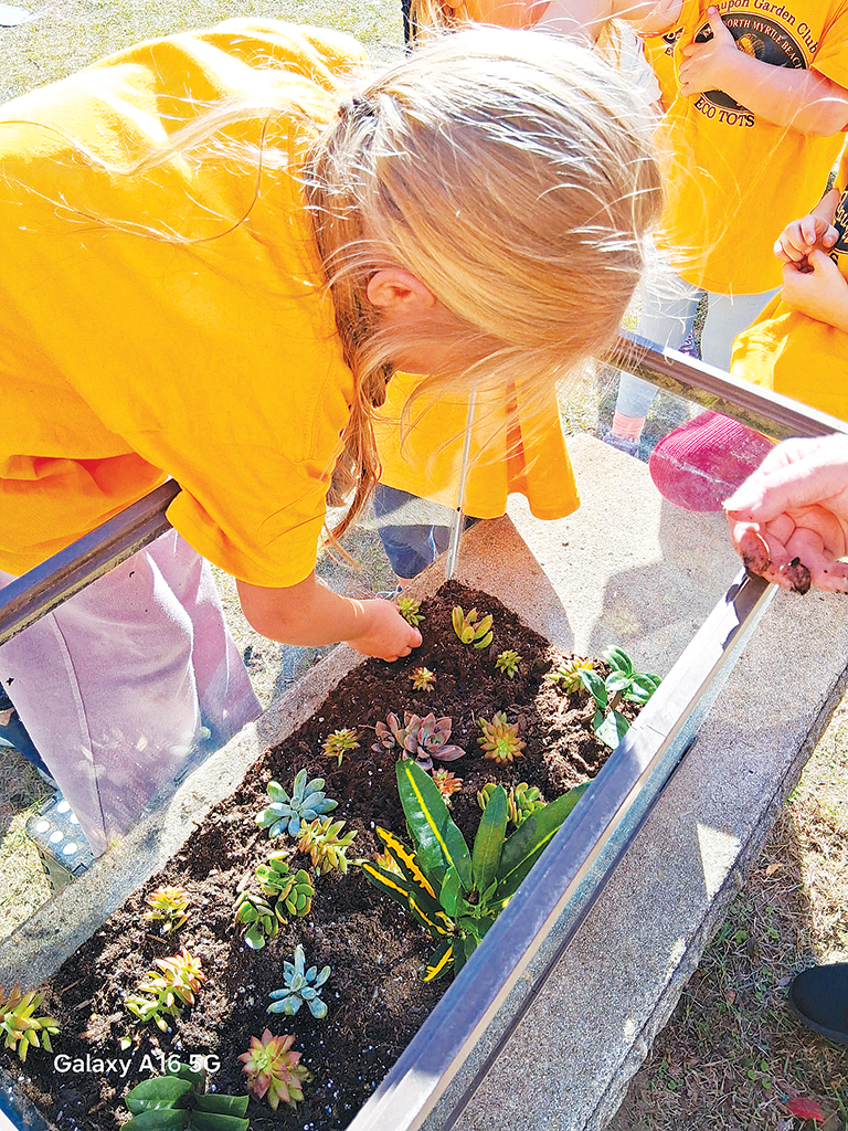 Ecotots are building classroom terrariums – North Myrtle Beach Times